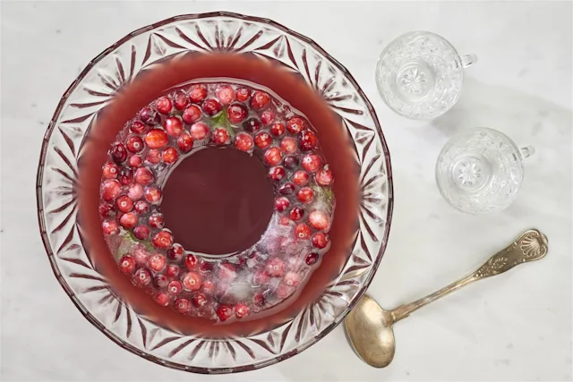 Ocean Spray Recipes - Festive Punch Ring