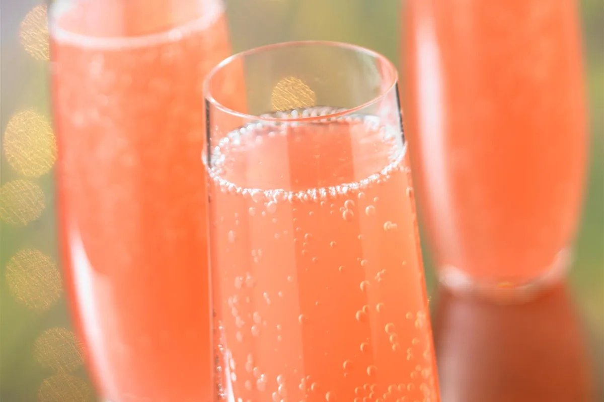 Recettes Ocean Spray - Boisson rafraîchissante Ruby